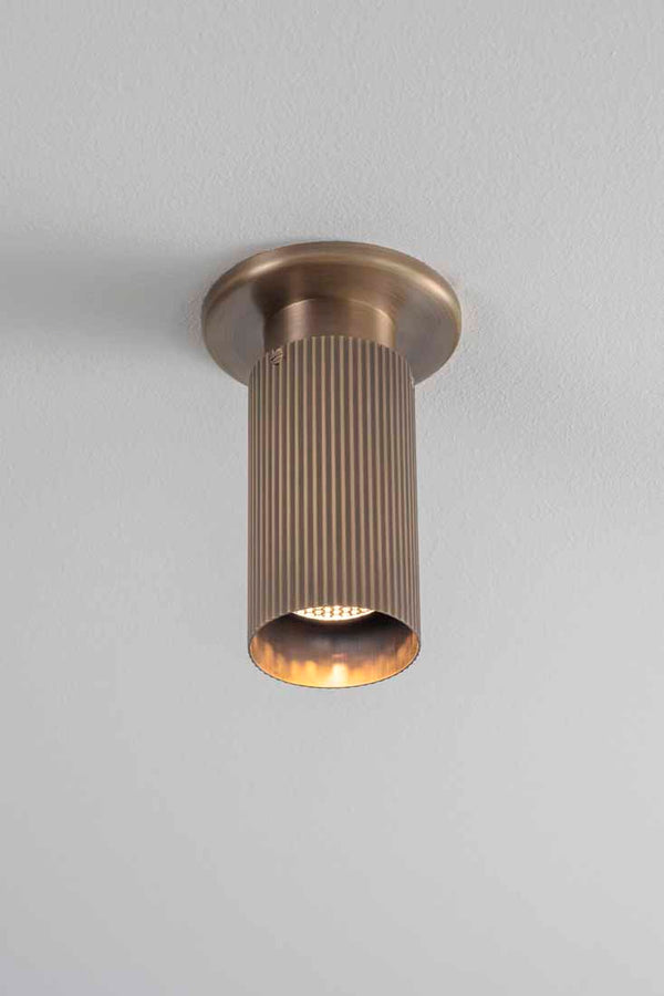 Spot Pro Downlight